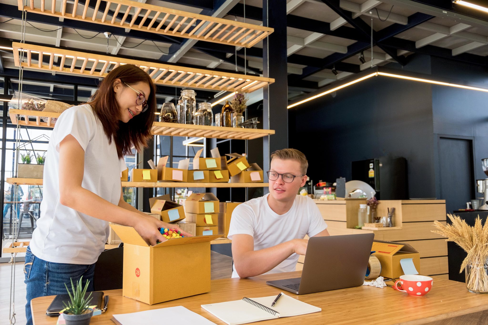 Distribution & Franchising Opportunities | Arkarise Ventures